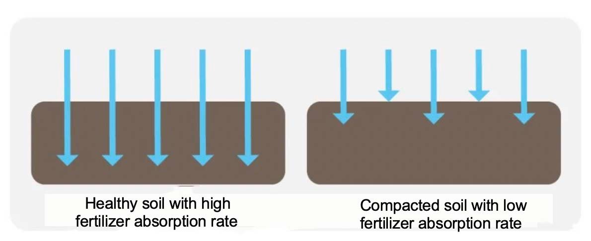 Why γ-Polyglutamic Acid(γ-PGA) Can Control Soil Compaction? - Wellyou Tech
